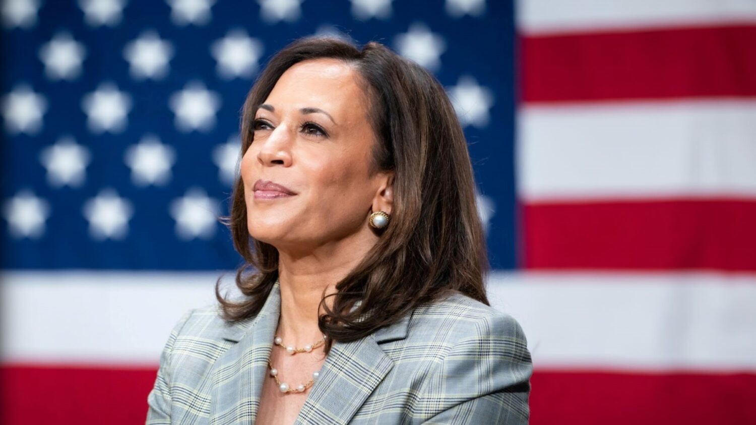 Kamala Harris’ New Economic Plan Is a Win for Climate, Clean Energy ...