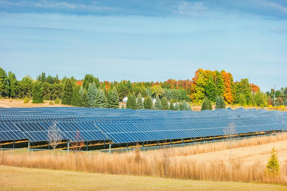 Evergreen Action - Creating an Affordable Clean Energy Future